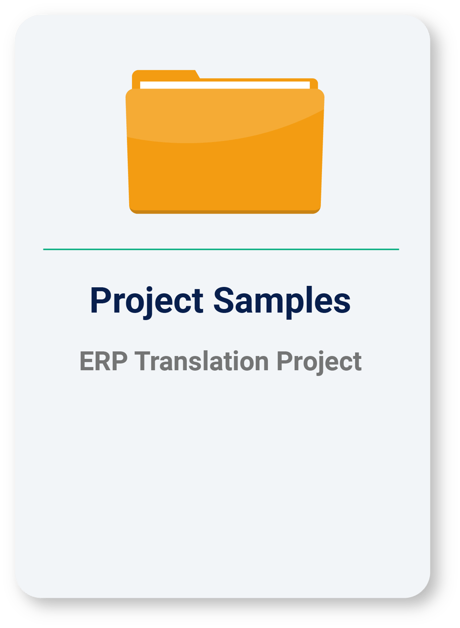 ERP Translation Project - Project Samples